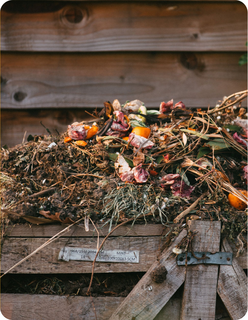 Gardens & growing - Revelstoke Bear Aware Society